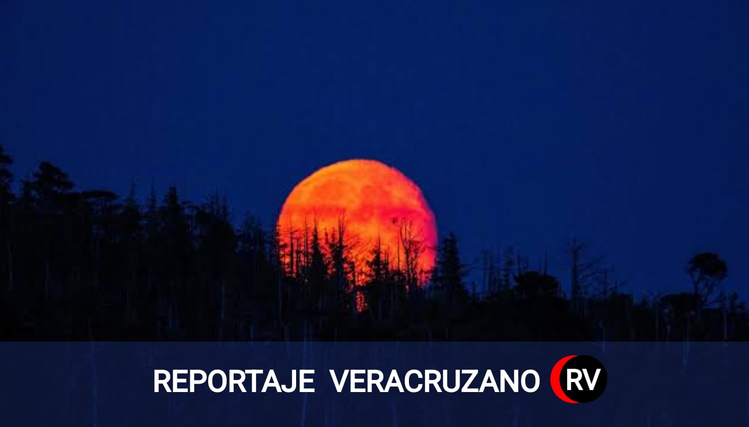 Luna de Sangre: El eclipse que será visto en el cielo de Veracruz la noche de mañana – Reportaje ...