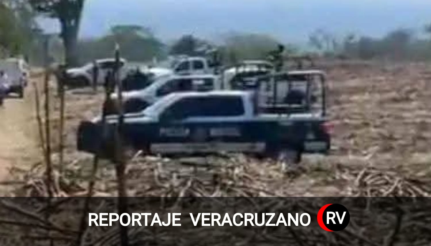 Hallazgo macabro en Tuzamapan: Encuentran sin vida a dos sujetos desaparecidos – Reportaje ...