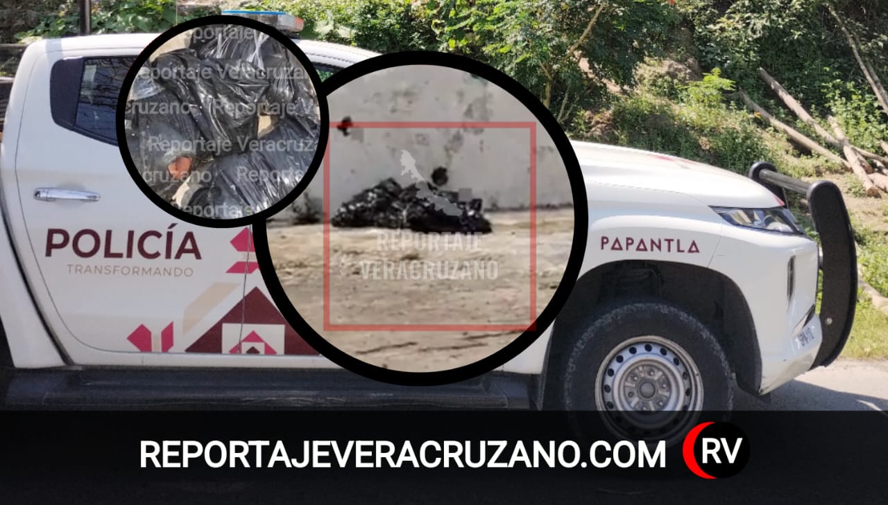 Macabro hallazgo en Carrizal sacude a Papantla en medio de ola de ...