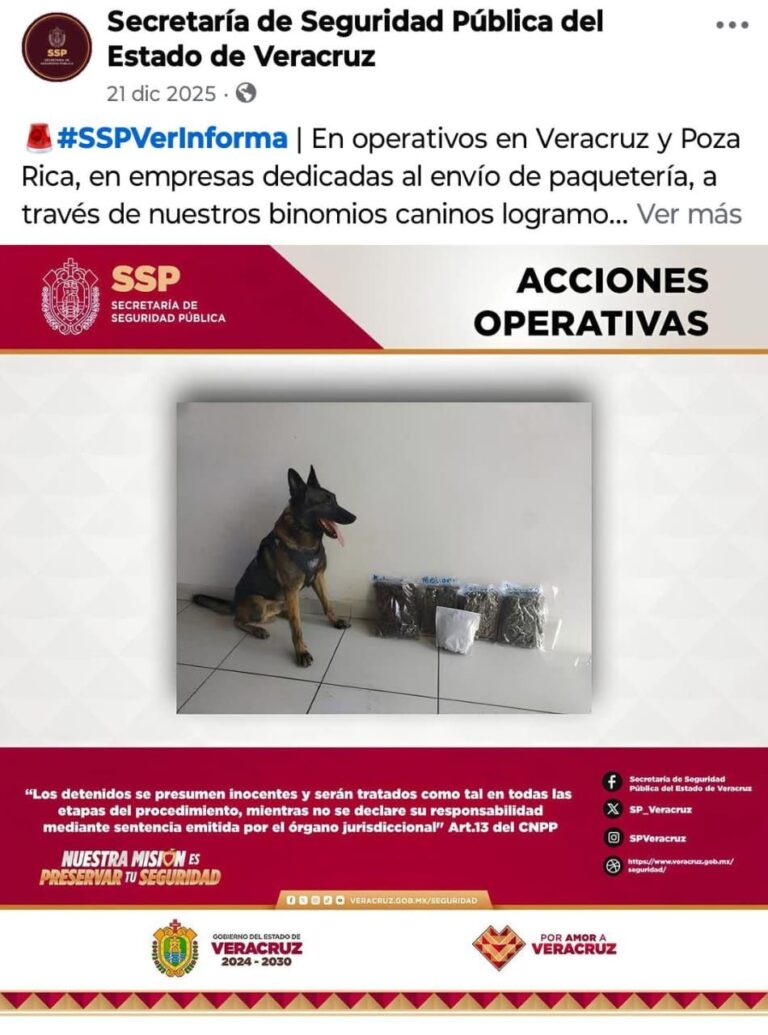 PAQUETERÍAS, DROGA Y PERIODISMO PODRIDO: EL DECOMISO DEL 21 DE ...